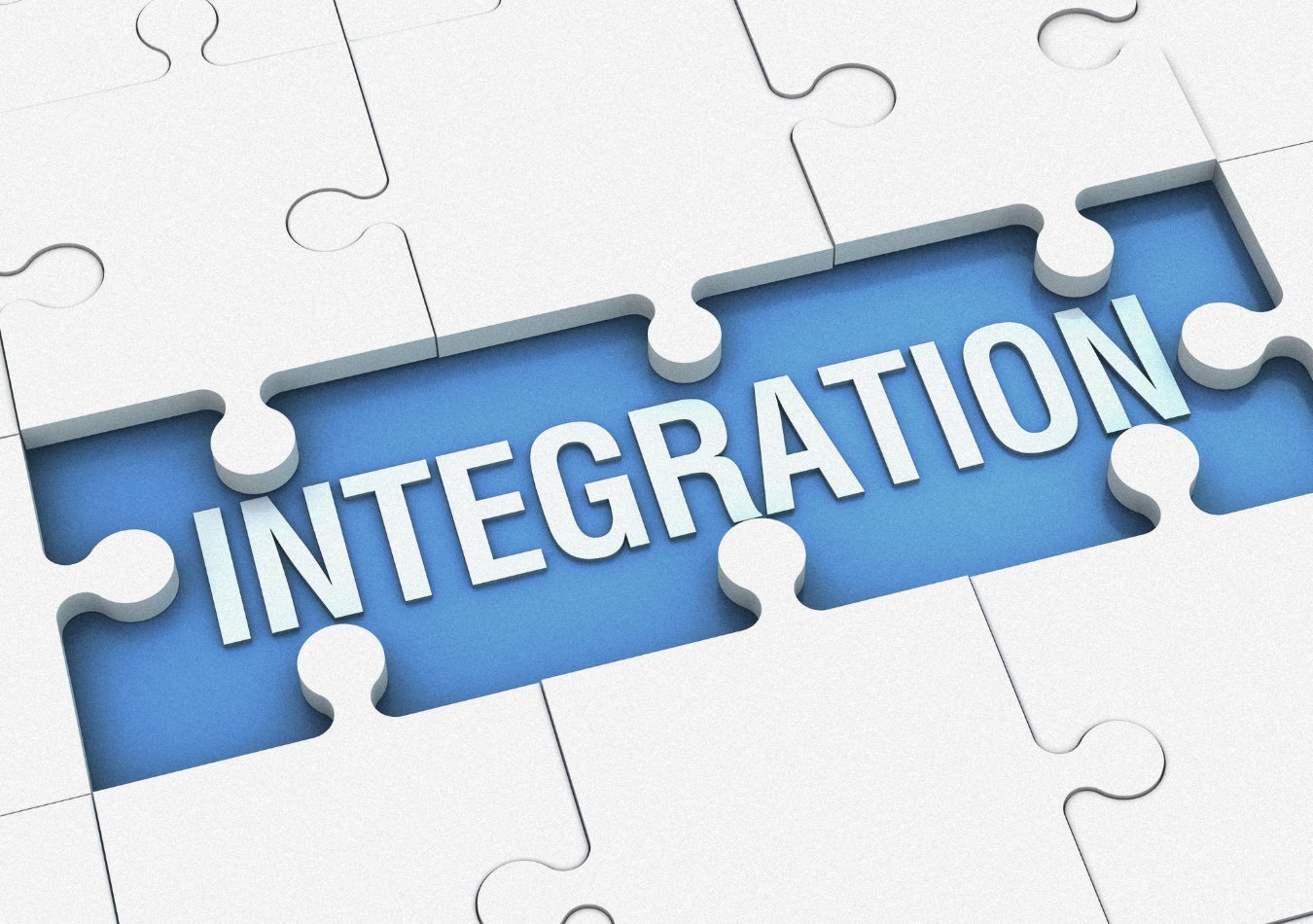 Professional System Integrations – Integrated Surviellance System